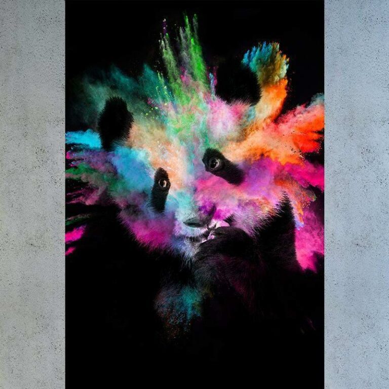 Tableau Panda Splash – ThePoplace